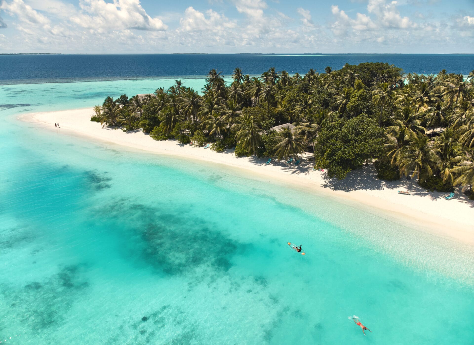 Marine Life Maldives | Nova Maldives | Flora and Fauna